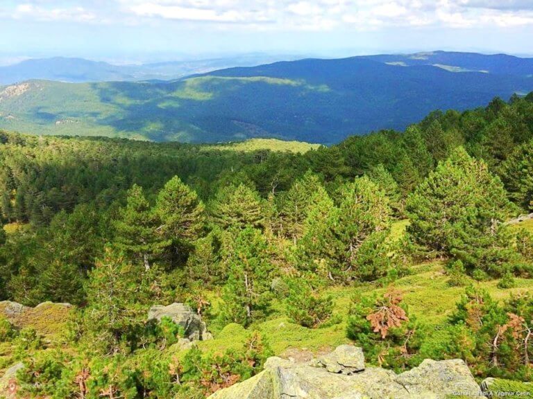 Kaz Dağları Nerede? Kazdağı Gezilecek Yerler | Gezi Rehberi