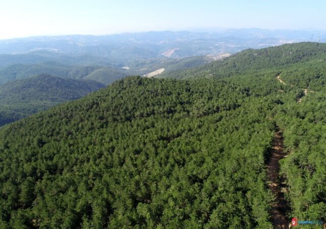 Kaz Dağları Nerede? Kazdağı Gezilecek Yerler | Gezi Rehberi