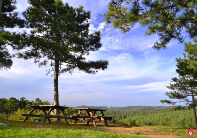 Şamlar Tabiat Parkı | Orman, Piknik Alanı ve Detaylı Rehber